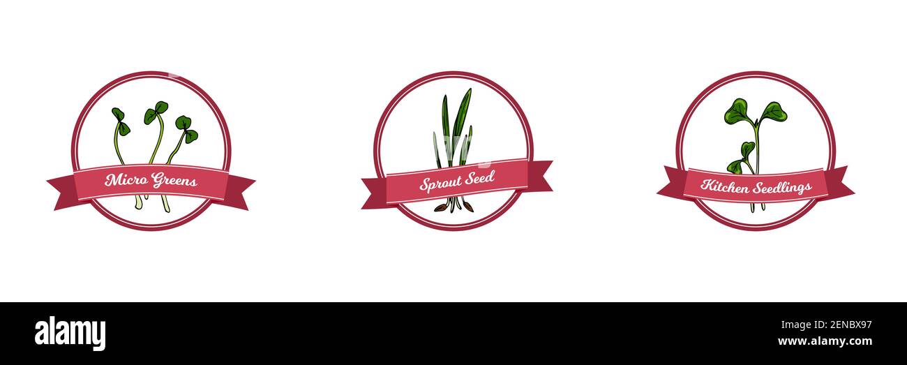 Set of microgreens logo with hand drawn elements. Vector illustration ...