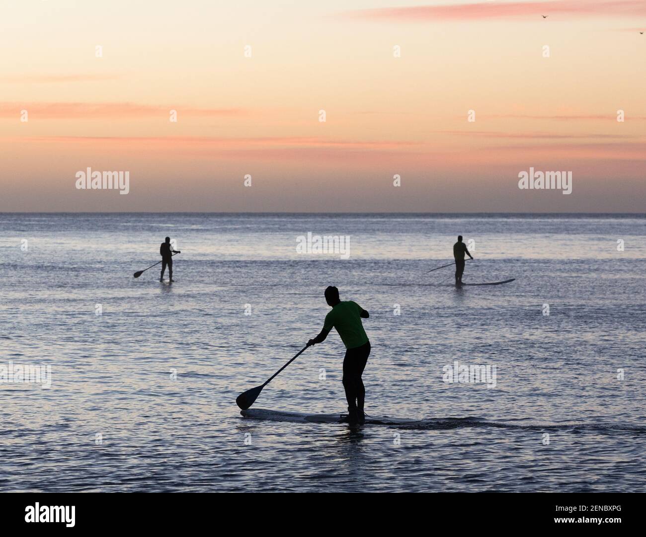 Fountainstown, Cork, Ireland. 26th February, 2021.Roger Griffin, James ...
