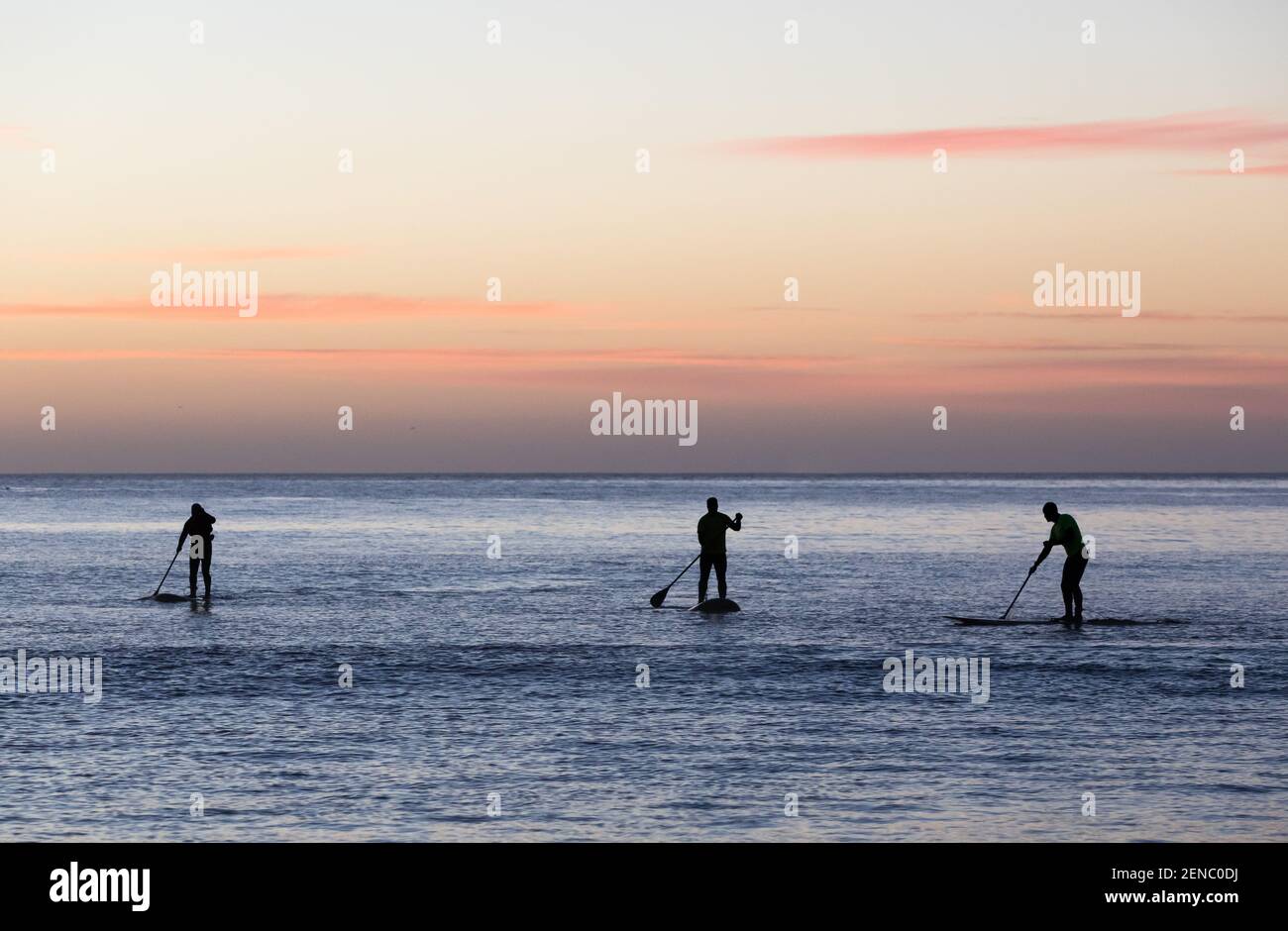 Fegan hi-res stock photography and images - Alamy