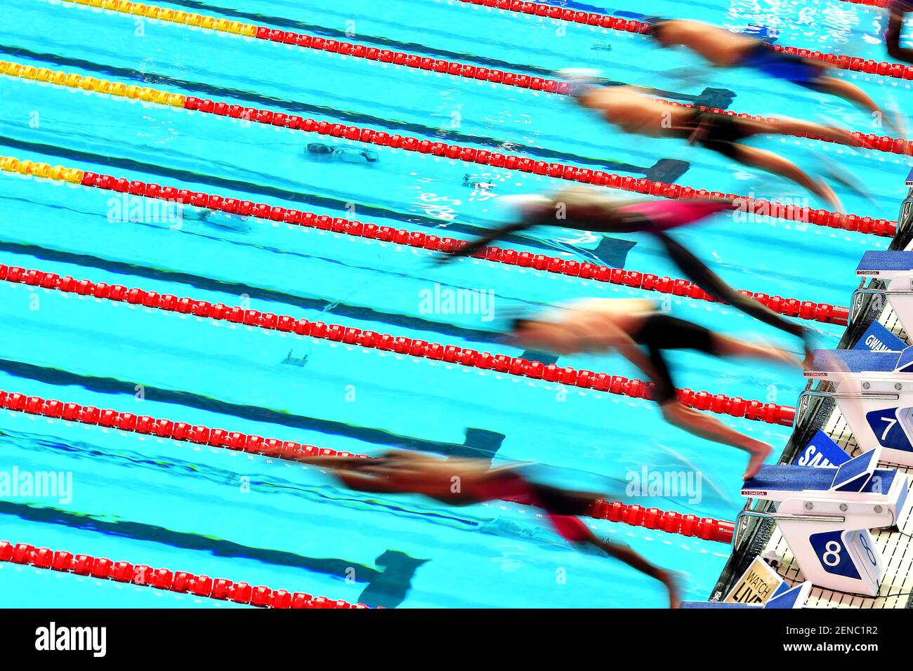 Start Men's 100m Freestyle Heat 4 Gwangju South Korea 24/07/2019 ...