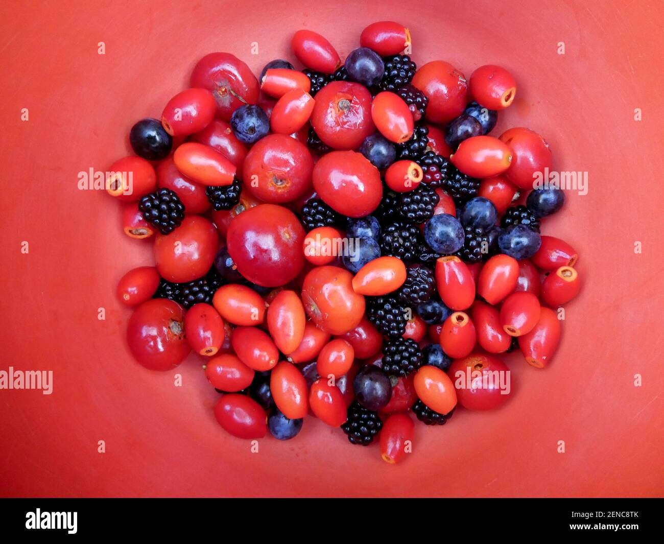 Beerenobst hi-res stock photography and images - Alamy
