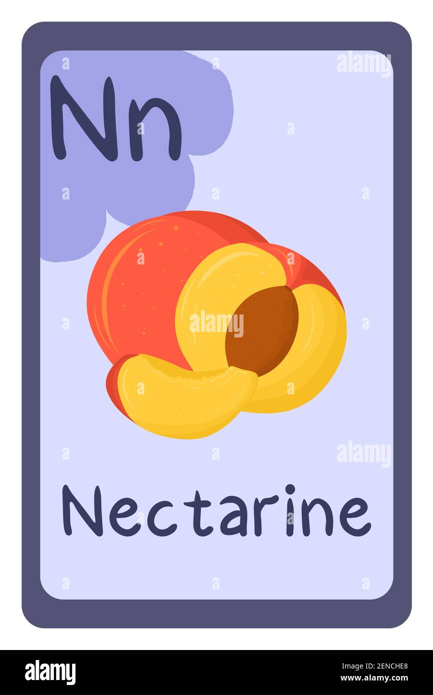 Colorful abc education flash card, Letter N - nectarine, exotic fruit ...