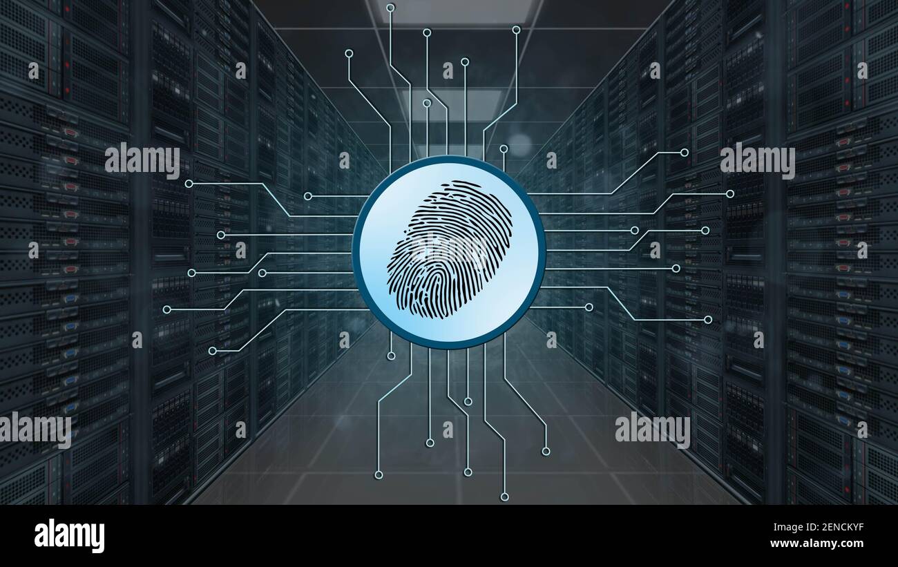 Fingerprint logo between information connecting lines - data server ...