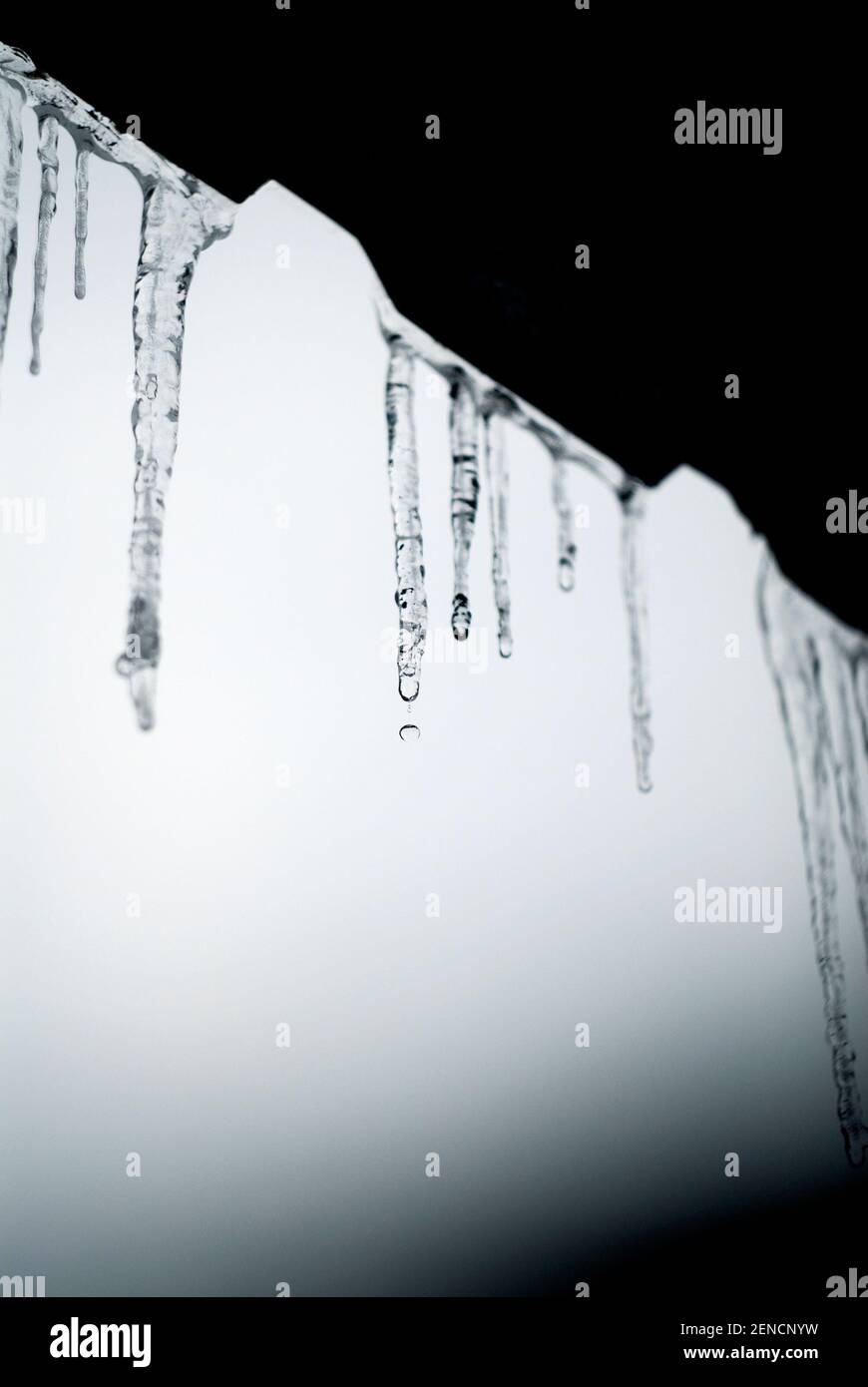 Falling snow on transparent background hi-res stock photography and ...