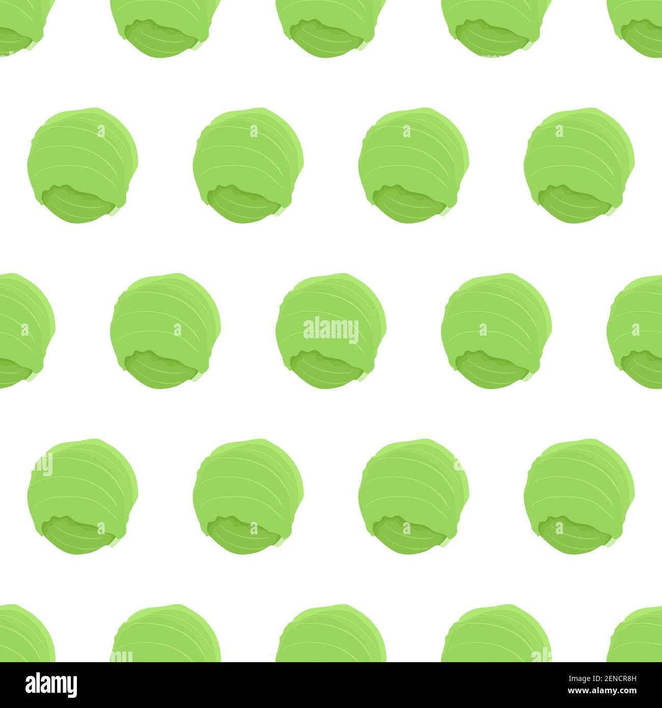 Whole iceberg lettuce Stock Vector Images - Alamy
