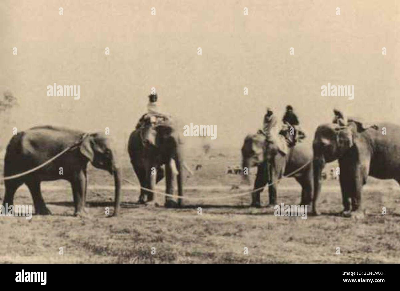 Pilkhana High Resolution Stock Photography and Images - Alamy