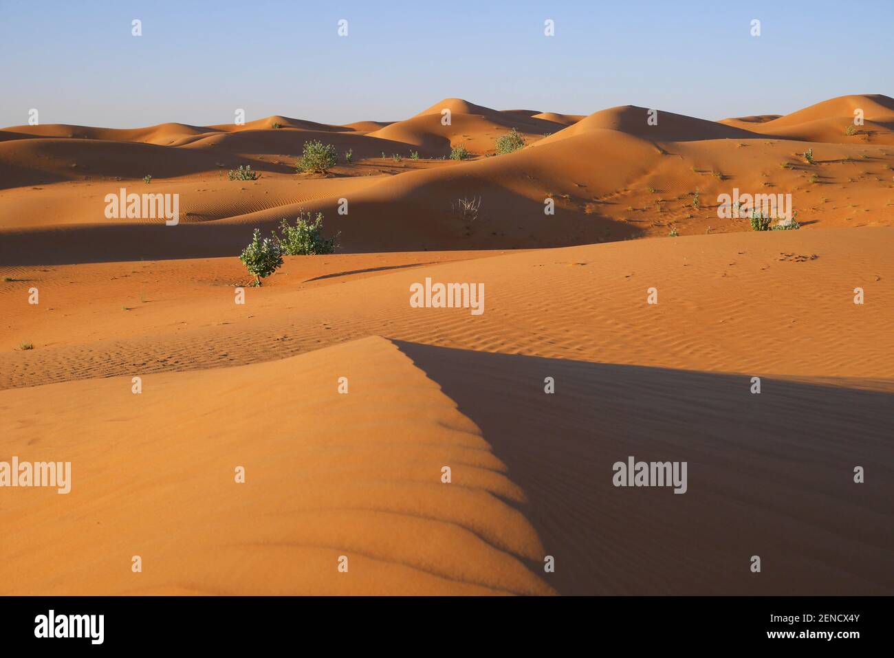 Arabian red dunes hi-res stock photography and images - Alamy