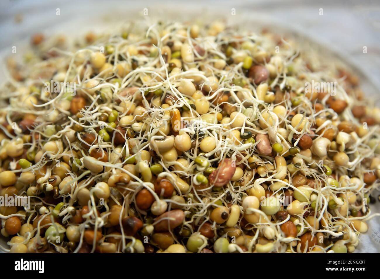 Mixed Sprouted Beans ready for making quanti at Janai Purnima or Raksha ...