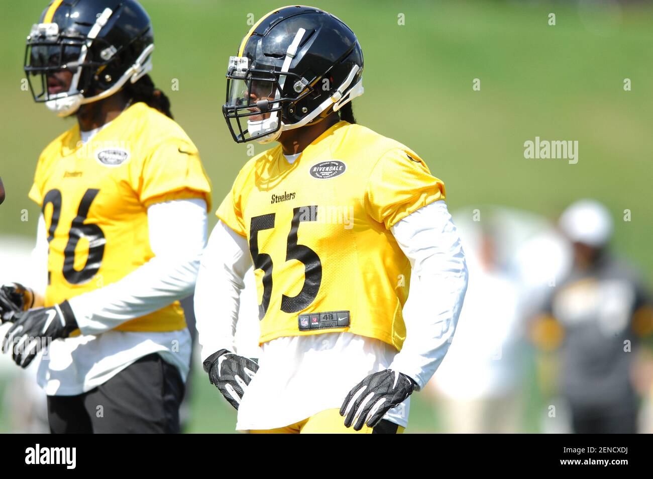 July 27th, 2019: Steelers #55 Devin Bush during the Pittsburgh Steelers ...