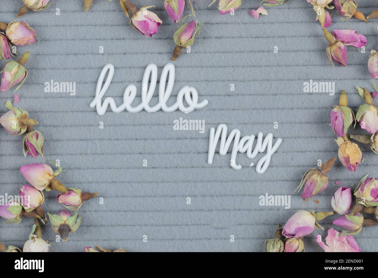 Hello May Tumblr