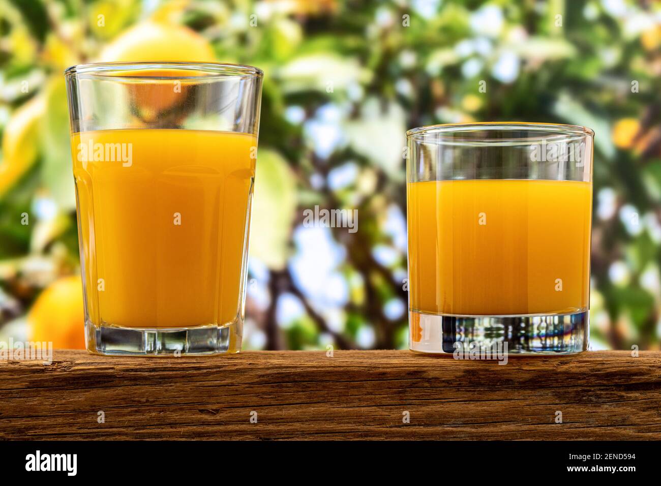 Two glasses of orange juice on nature background. Fruit concept Stock ...