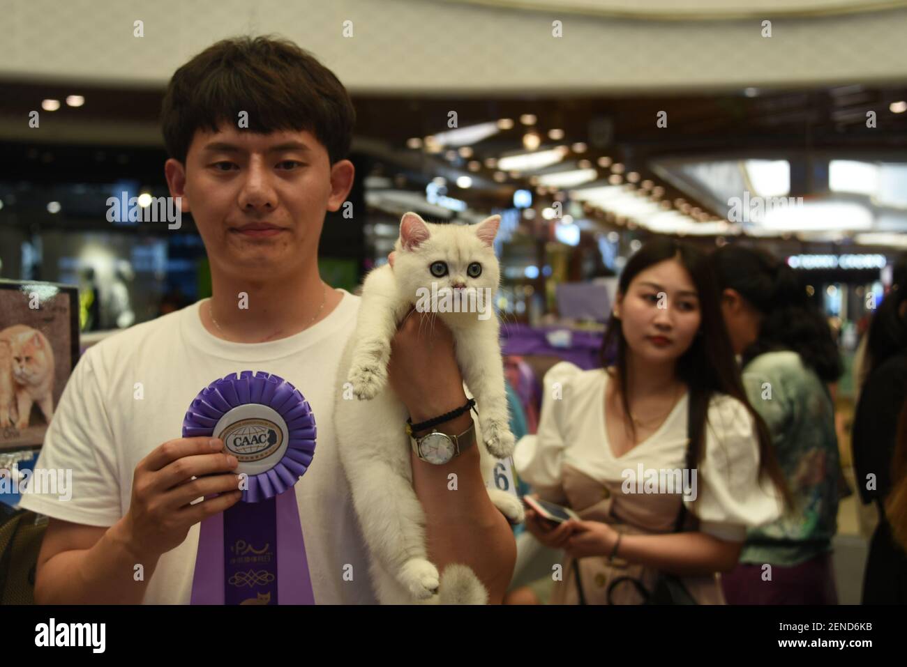 Henanï¼ŒCHINA-A world-class cat contest was held in Kaifeng, Henan ...