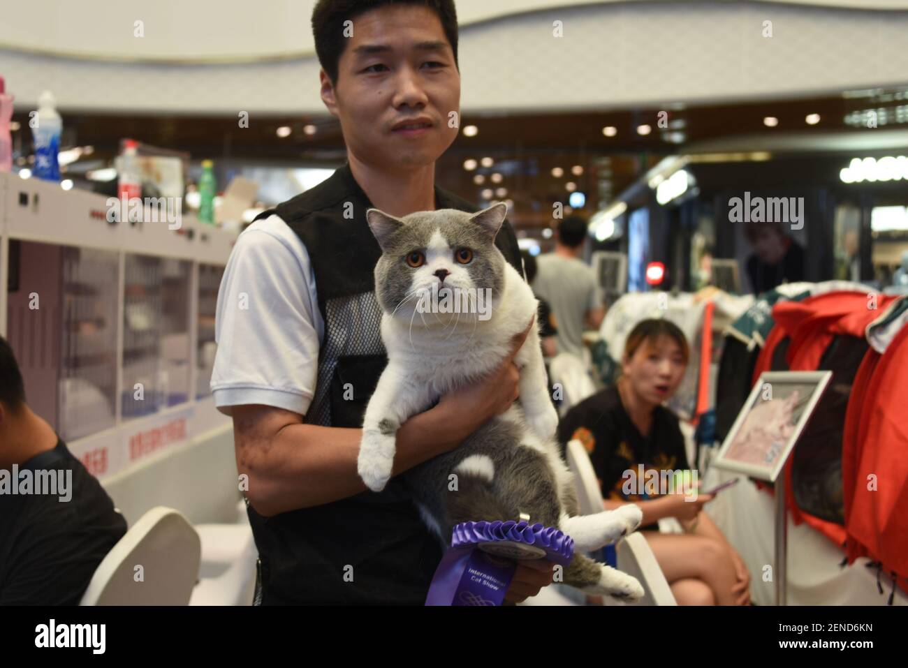 Henanï¼ŒCHINA-A world-class cat contest was held in Kaifeng, Henan ...