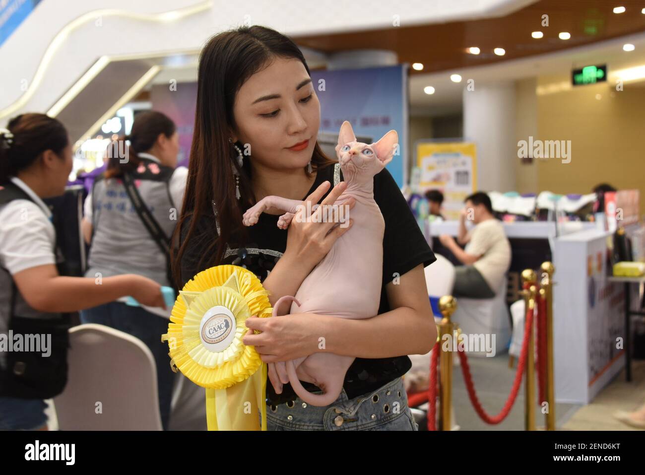 Henanï¼ŒCHINA-A world-class cat contest was held in Kaifeng, Henan ...