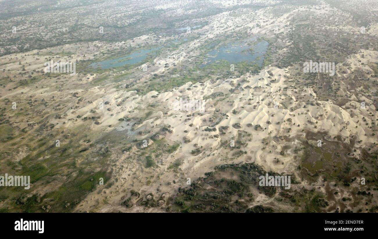 Landscape of the Tarim River embraced by green plants in Yuli county ...