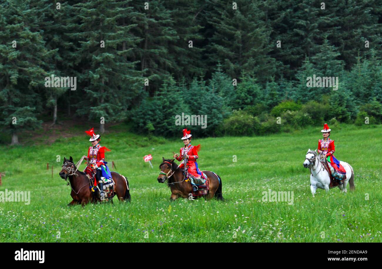 Gansuï¼ŒCHINA-In summer, horseshoe Tibetan township, Yugu autonomous ...