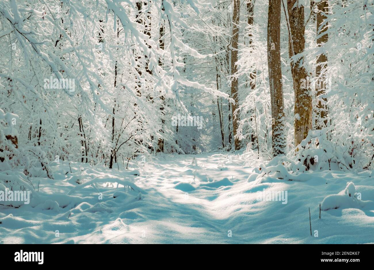 Beautiful sunlit winter landscape in Germany Stock Photo - Alamy