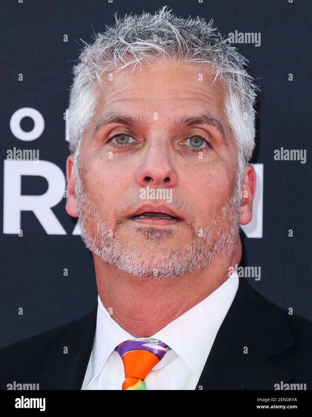 HOLLYWOOD, LOS ANGELES, CALIFORNIA, USA - AUGUST 01: Garth Stein ...