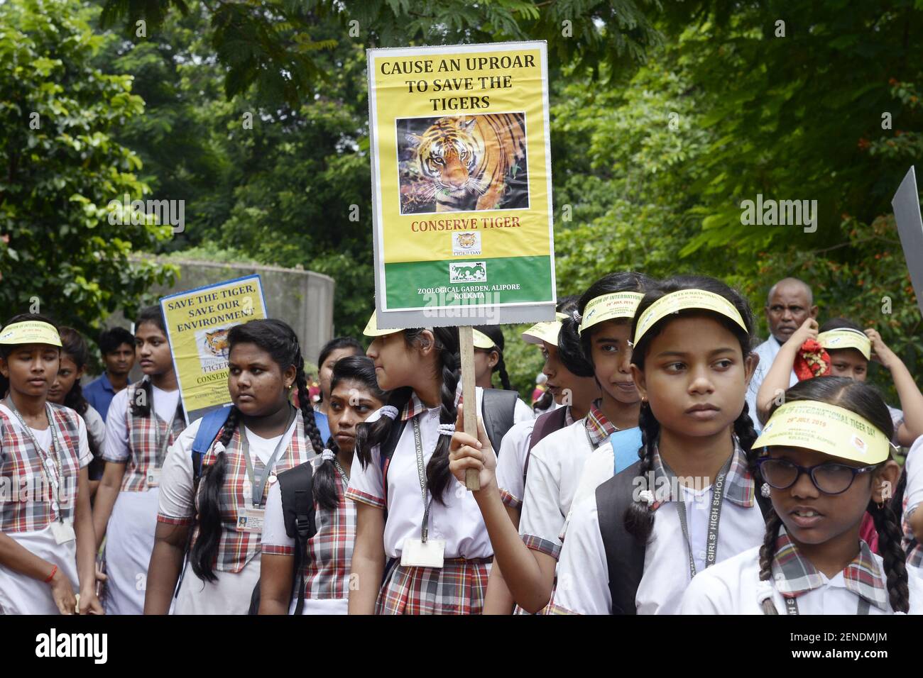 Girl students hold posters to create awareness about tiger conservation ...