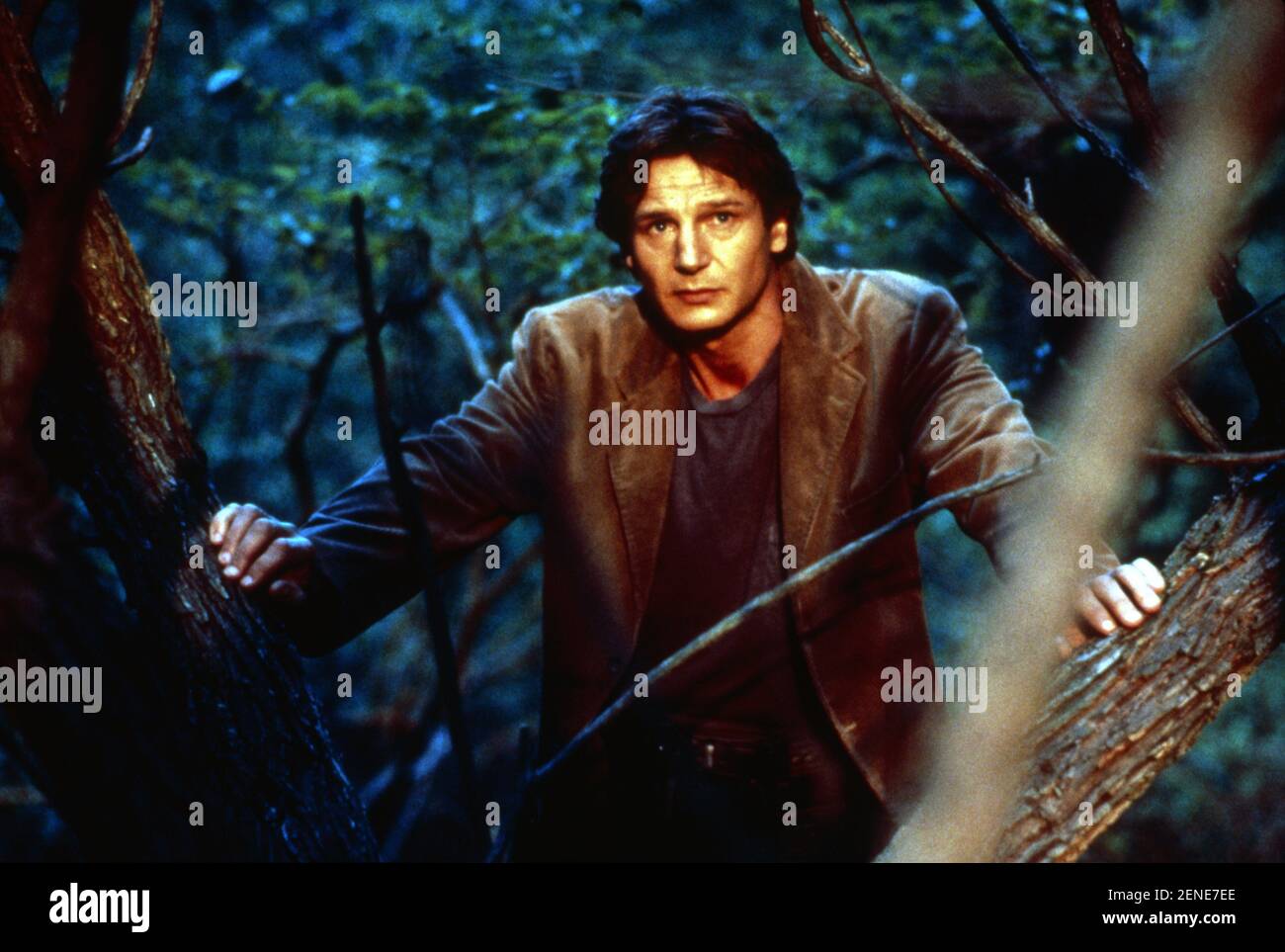 Nell 1994 liam neeson hi-res stock photography and images - Alamy