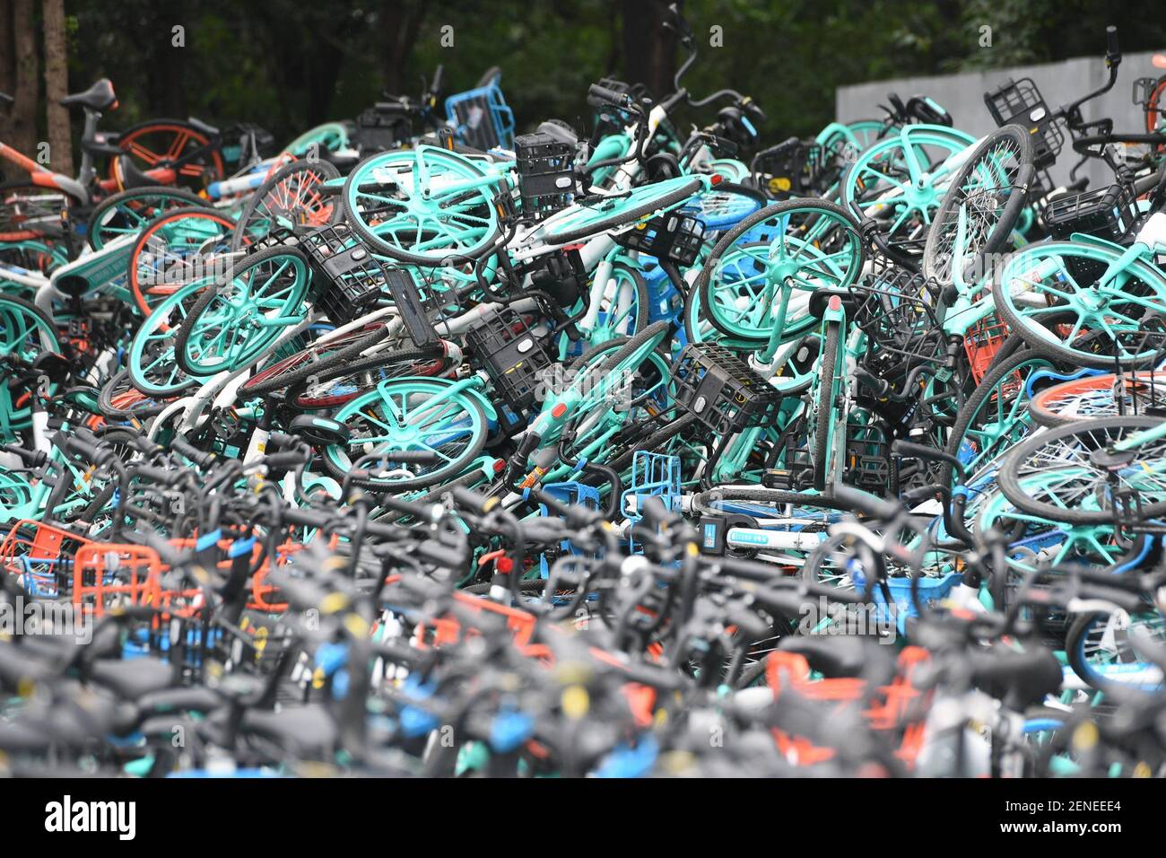 Thousands of abandoned bicycles of Chinese bike-sharing services are ...