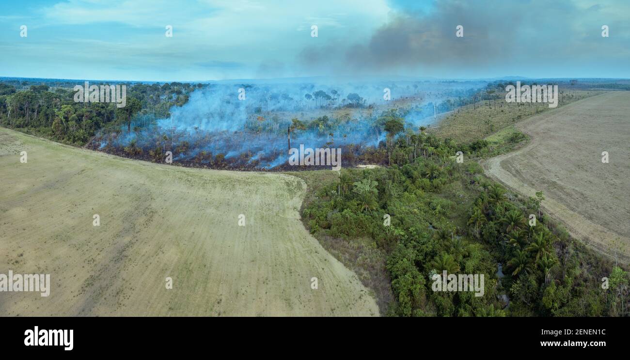 Amazon deforestation burning aerial hi-res stock photography and images ...