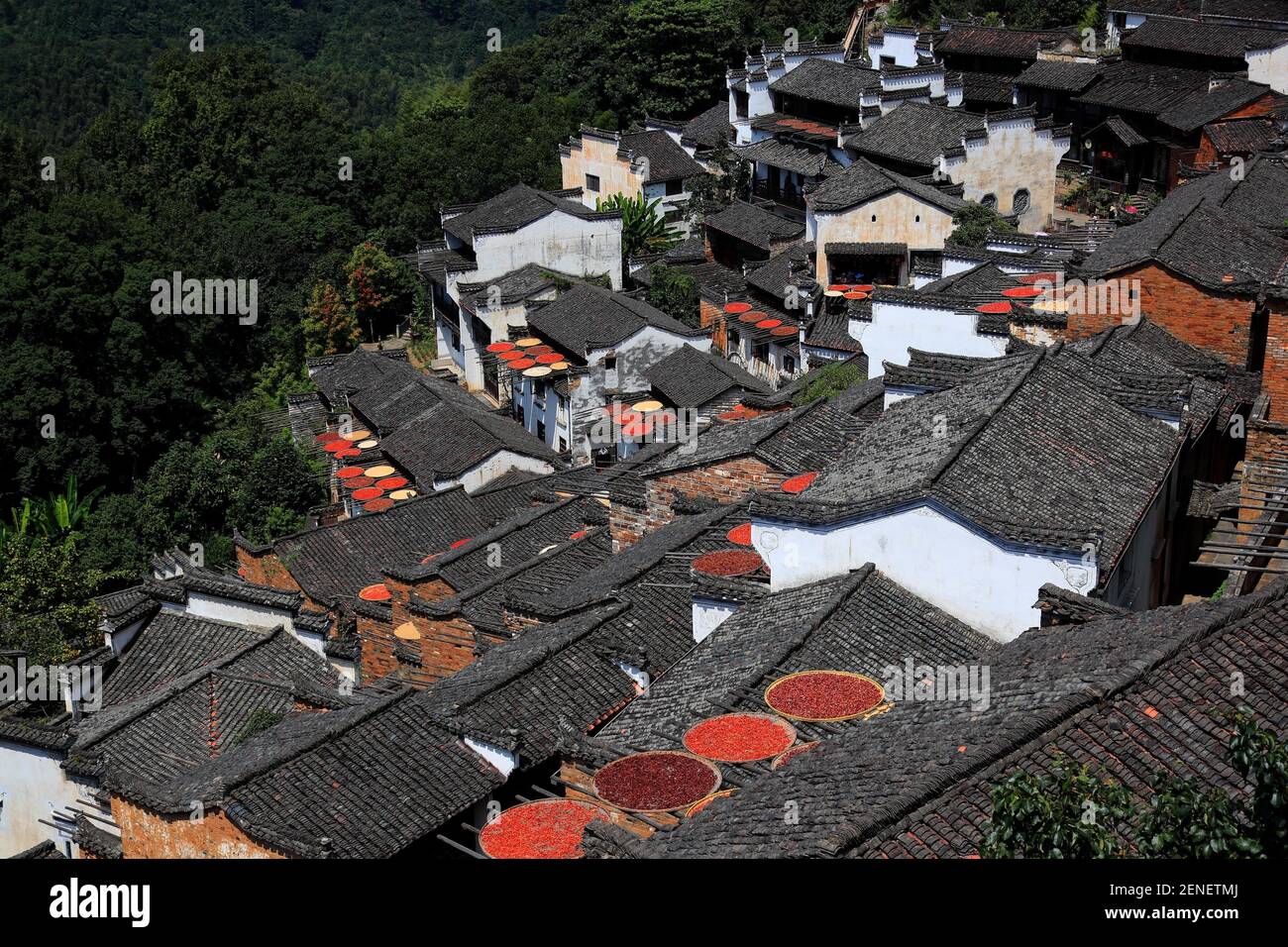 Jiangxi,CHINA-On August 7, 2019, the start of autumn began, and the ...