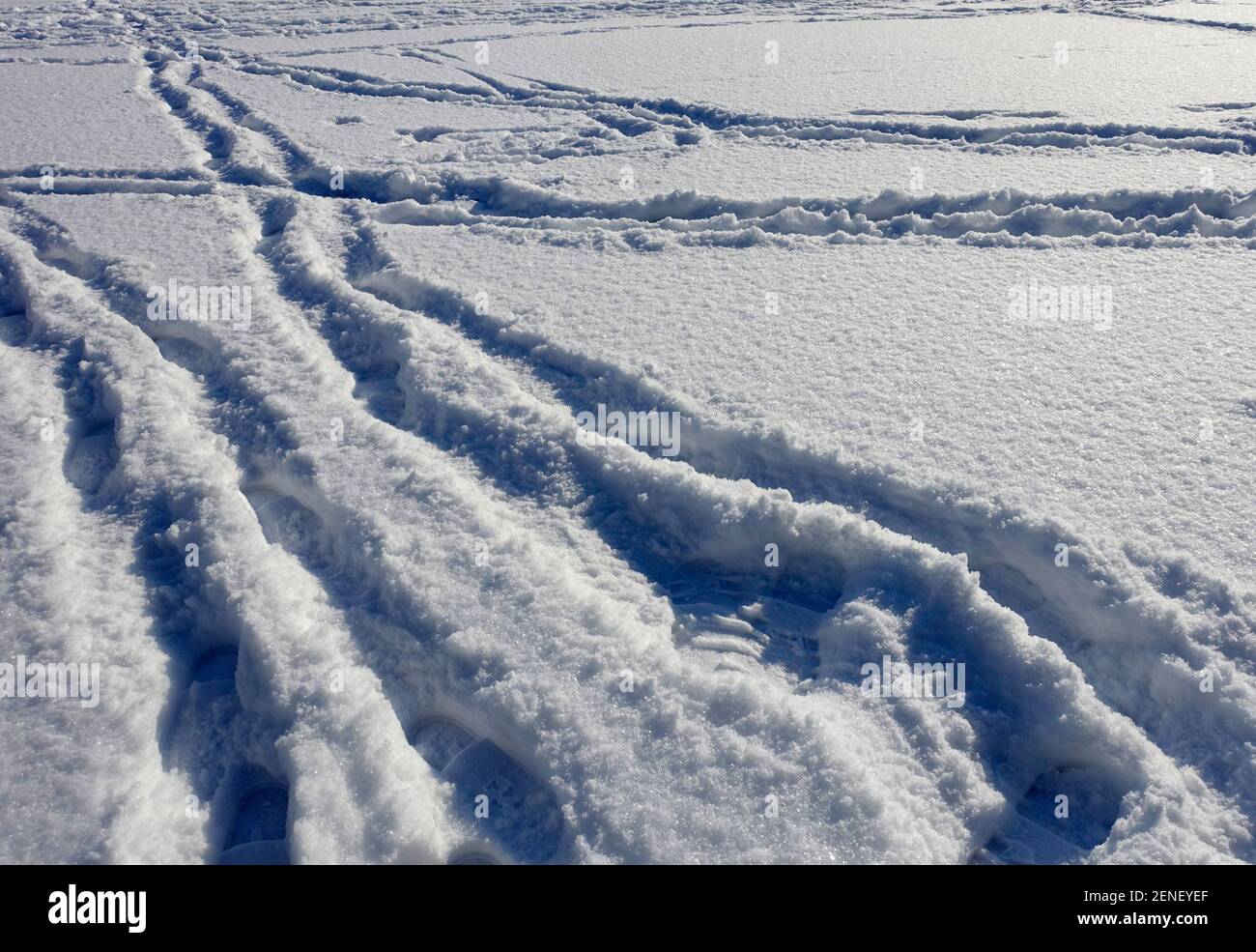 Tracks in the snow Stock Photo - Alamy