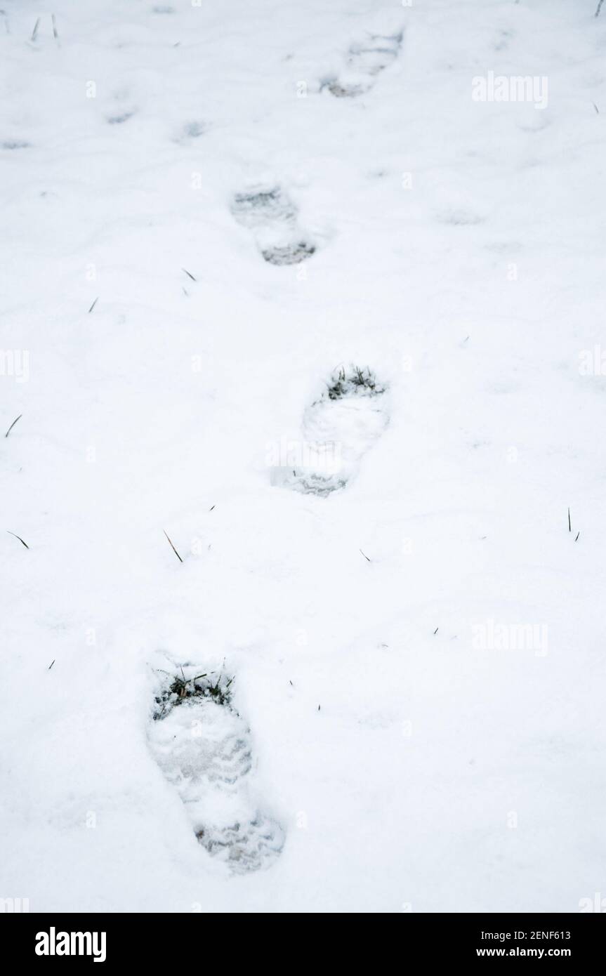 Footsteps in snow, winter composition, snow falling, frozen nature ...