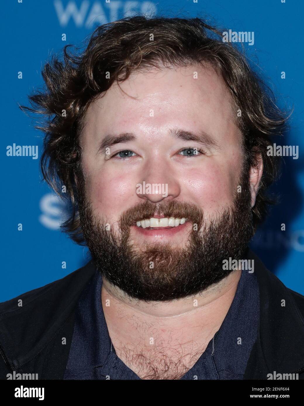 LOS ANGELES, CALIFORNIA, USA - AUGUST 08: Actor Haley Joel Osment ...