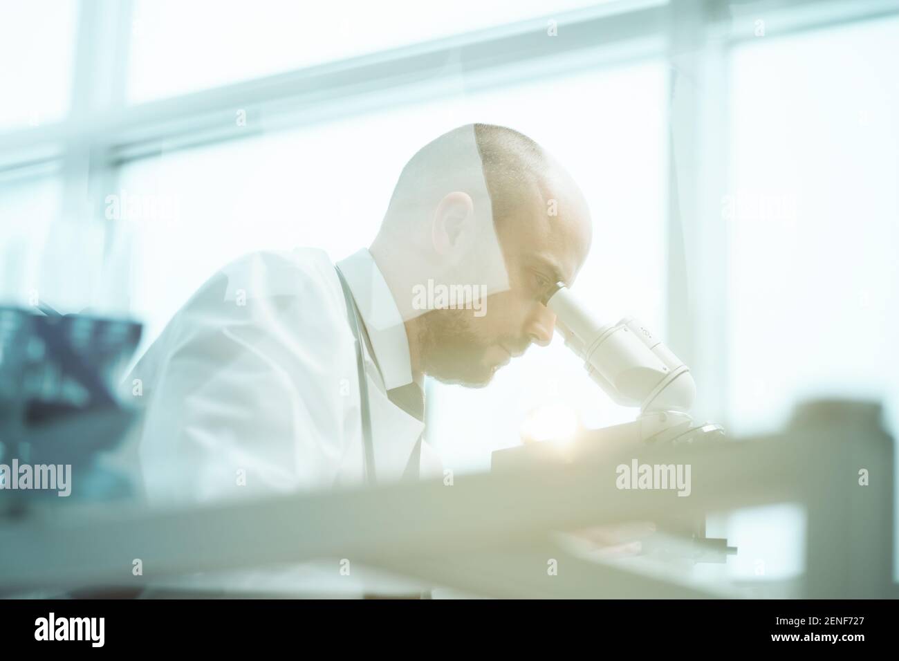 young scientist studying fluid samples through a microscope Stock Photo ...