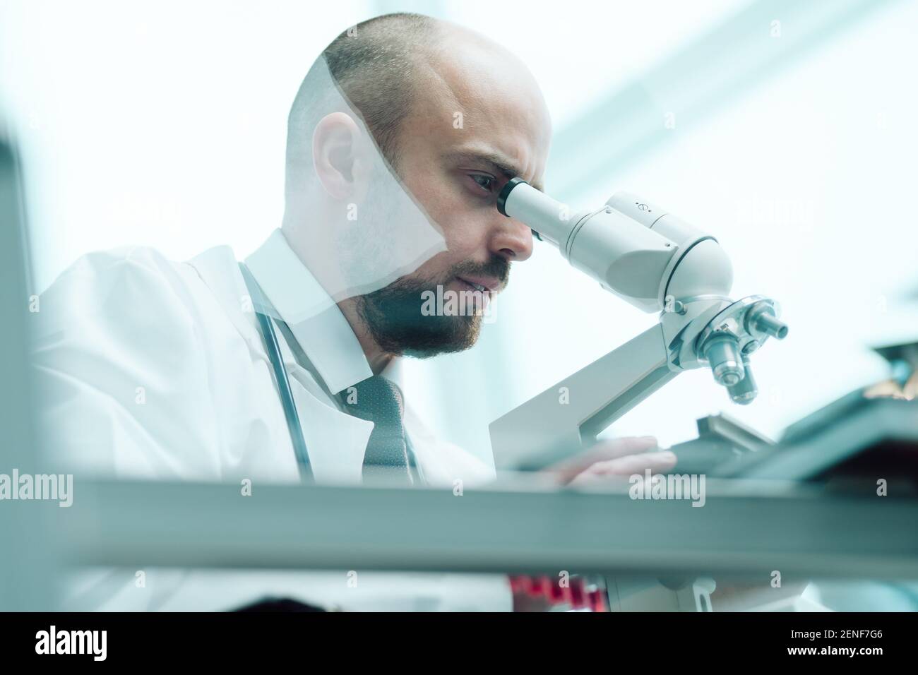 young scientist studying fluid samples through a microscope Stock Photo ...