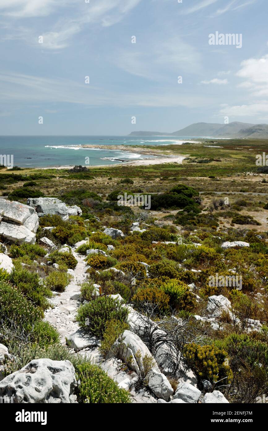Phyllisia Circuit, Cape Point, South Africa Stock Photo - Alamy