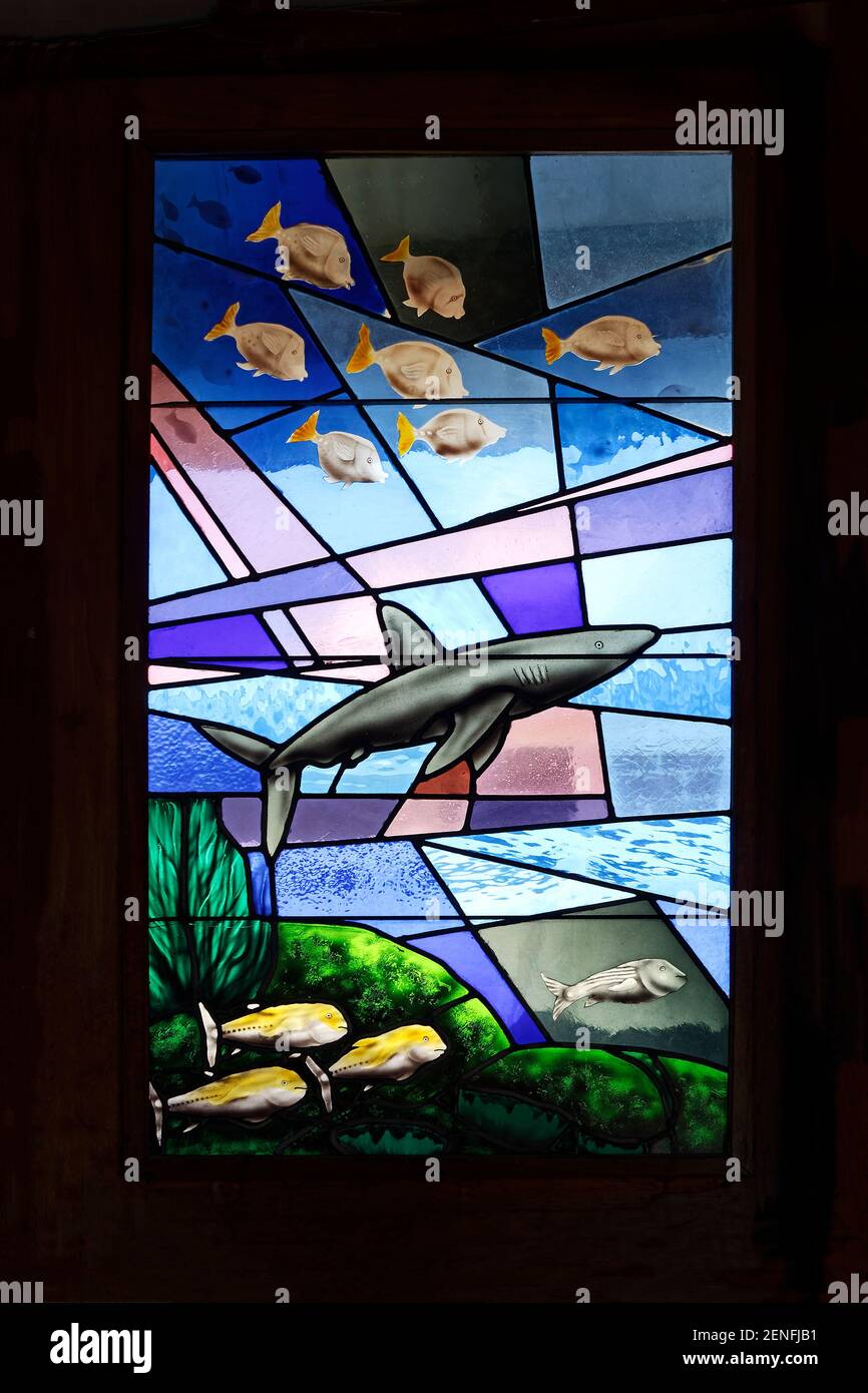 stained glass window, undersea scene, marine life, shark, fish ...