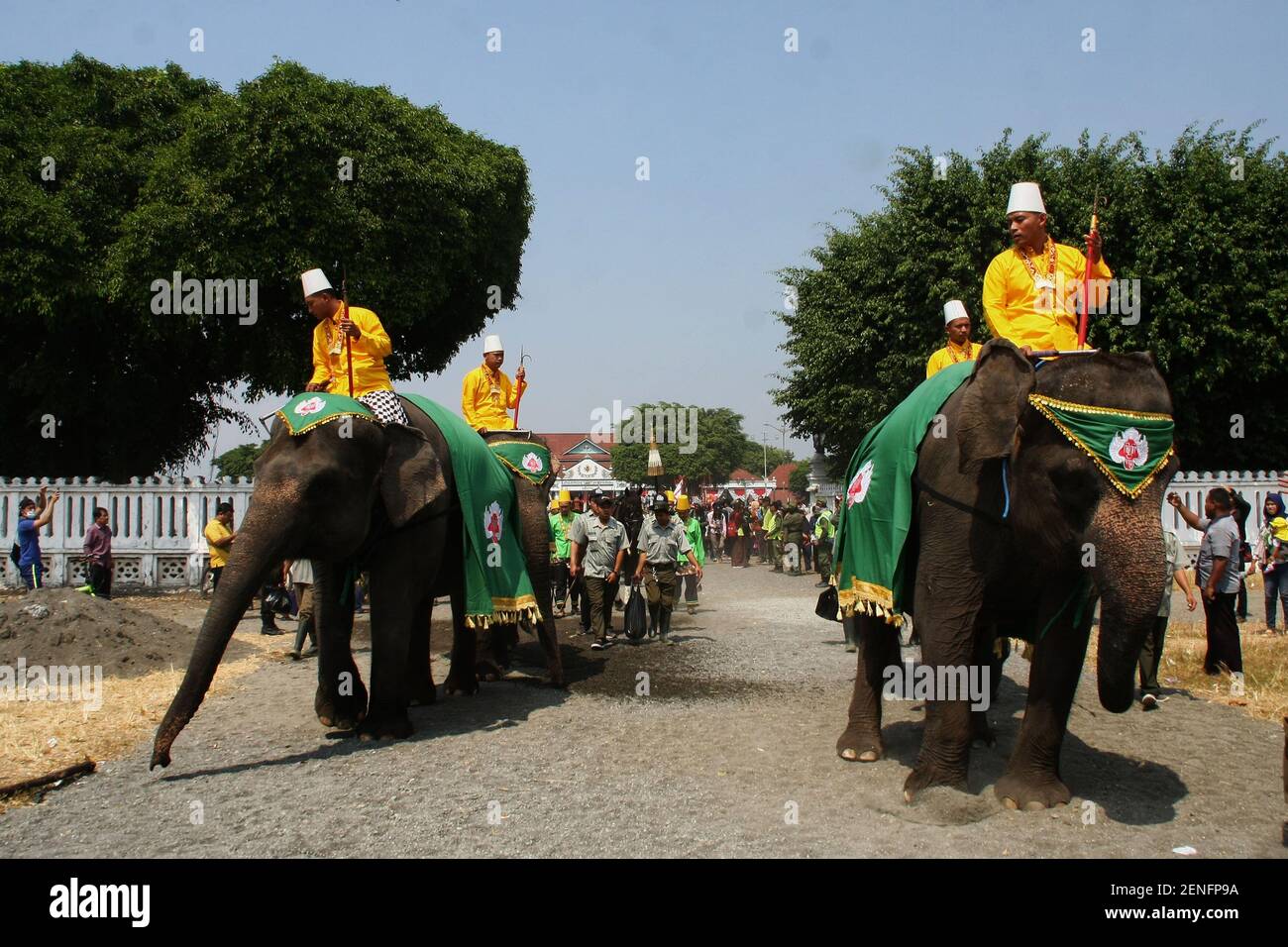 Elephant traditional troops emerged from the Sultan's Palace during a ...