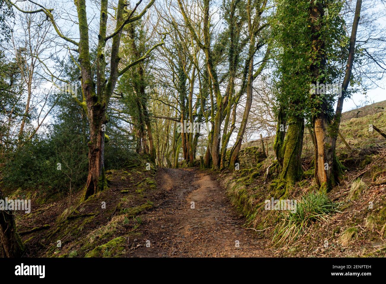 Pleasington hi-res stock photography and images - Alamy