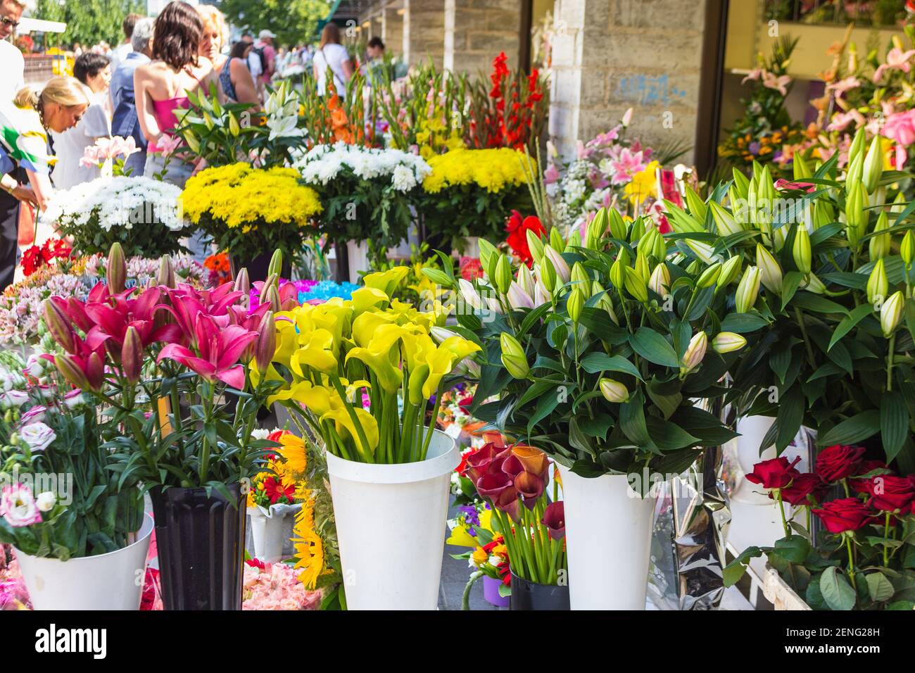 Baltic countries flowers hi-res stock photography and images - Alamy