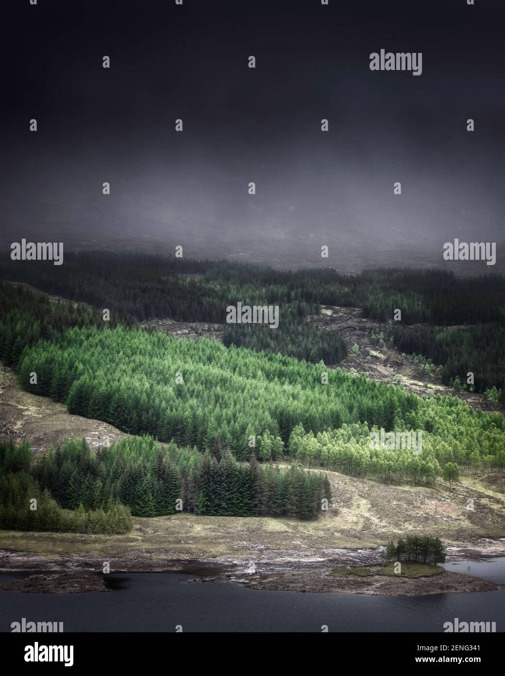 Dark cloud and fog over hill with coniferous forest in the Scottish ...