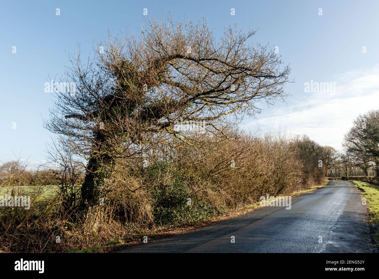Lancashire hoghton hi-res stock photography and images - Alamy