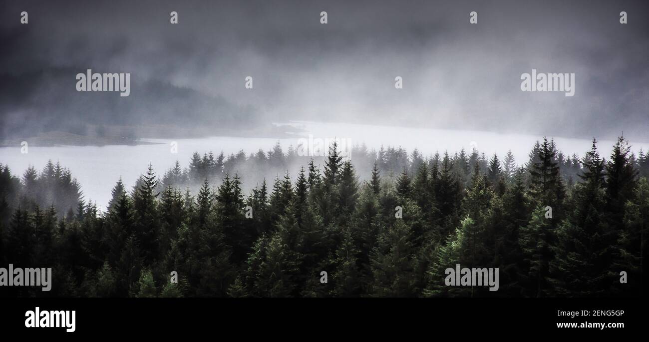 Fog rolling over Loch Tulla and coniferous forest in Scottish Highlands ...