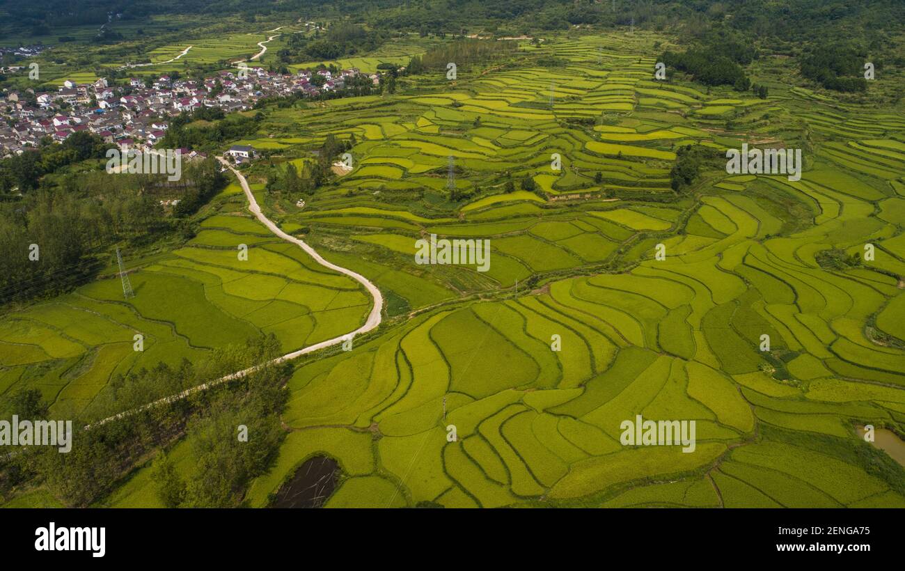 Anhui,CHINA-Aerial photo shows the autumn countryside in Yunling town ...