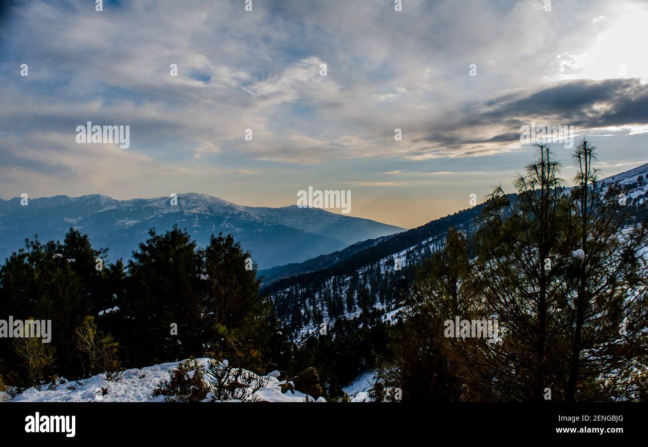 Nathatop and Patnitop cities of Jammu and its park covered with white ...