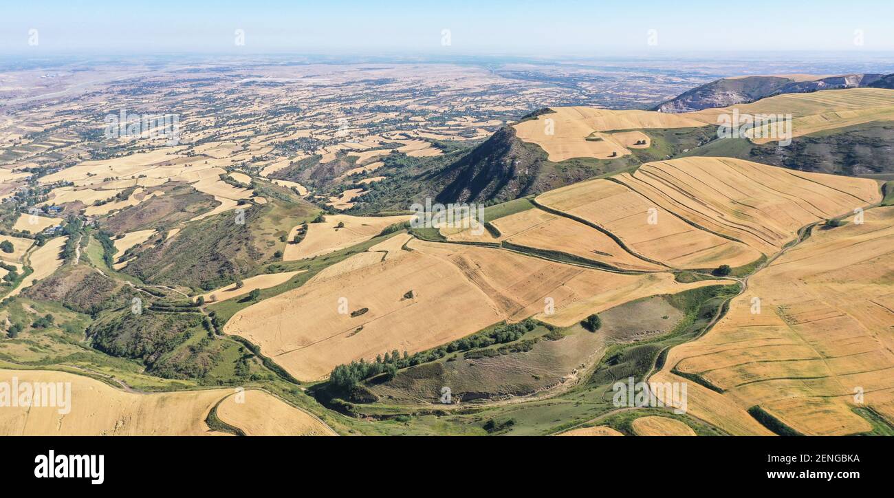 Xinjiang,CHINA-In the golden autumn season, ten thousand mu of dry ...