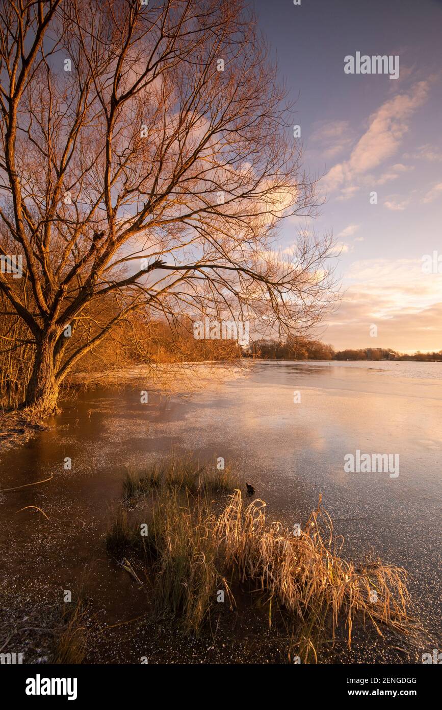 Nottingham colwick country park winter hi-res stock photography and ...