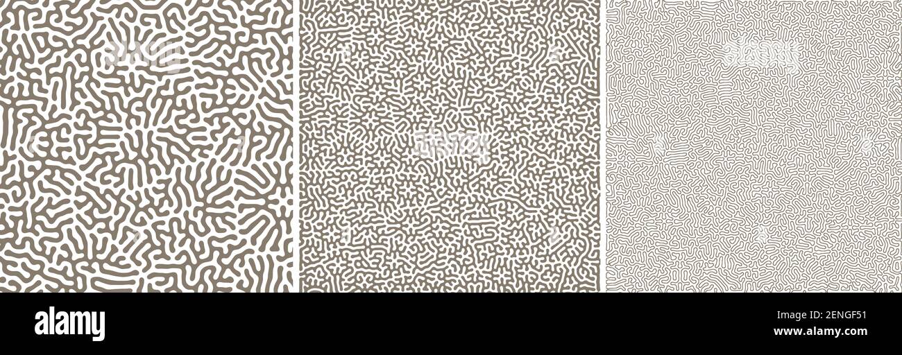 Dark grayish brown natural maze labyrinth patterns on white. Three ...