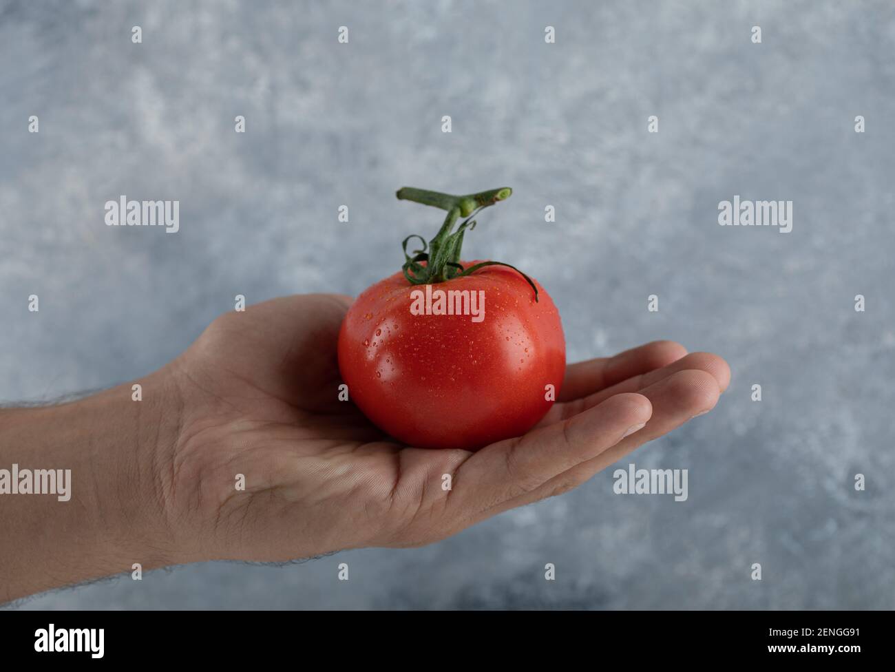 Male hand holding fresh red tomato in hand Stock Photo - Alamy