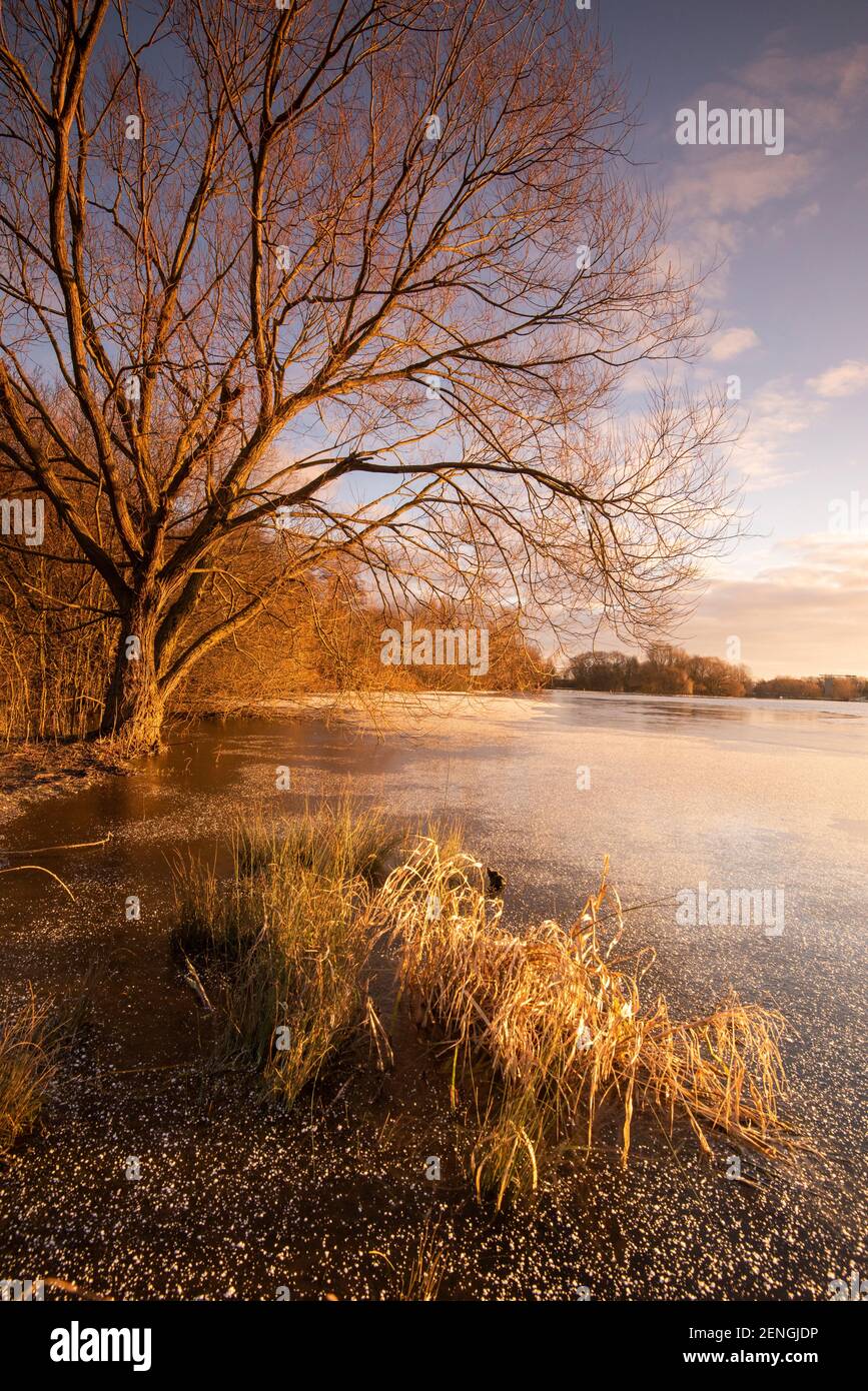 Nottingham colwick country park winter hi-res stock photography and ...