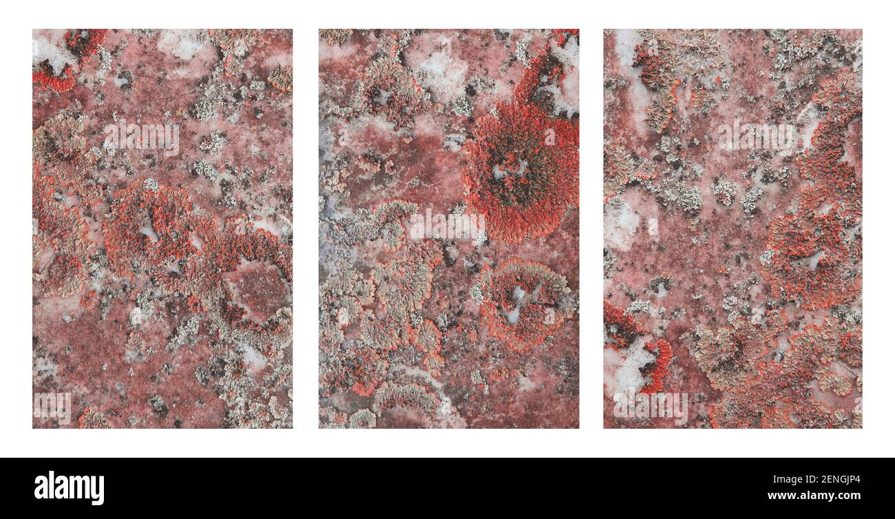 Abstract shapes patterns on Cut Out Stock Images & Pictures - Alamy