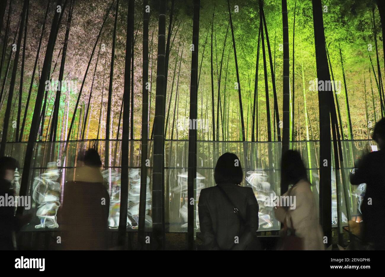 Photo taken Feb. 26, 2021, shows work by digital art collective teamLab ...