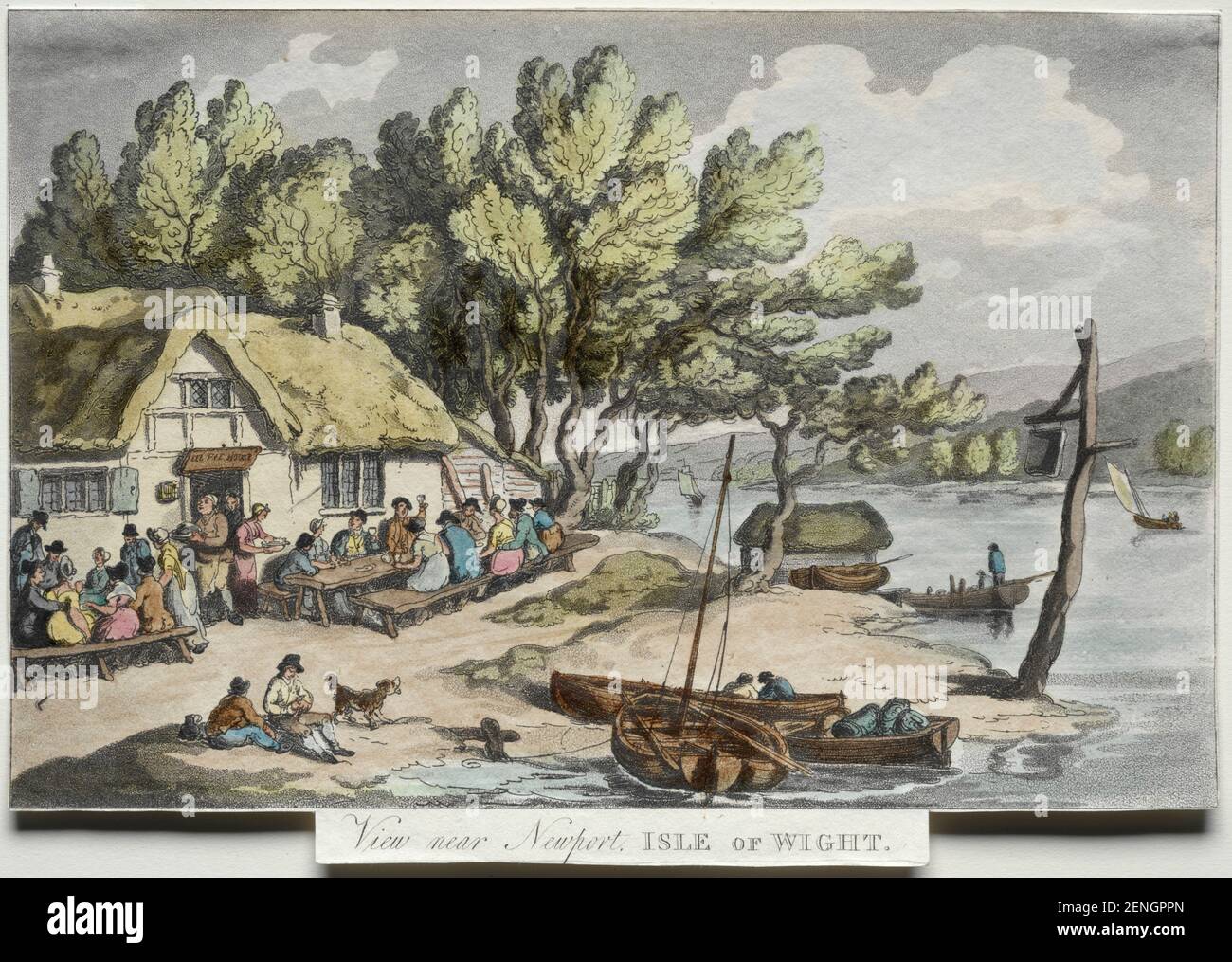 Victorian nature illustration hi-res stock photography and images - Alamy